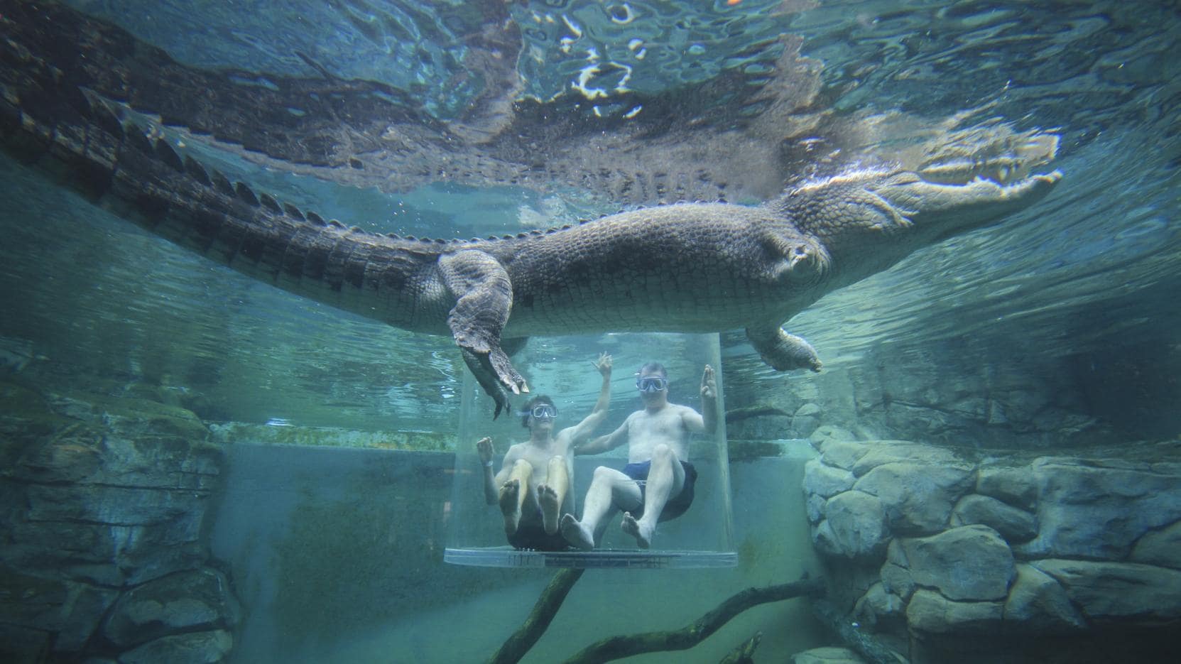 Where to see crocodiles around Darwin - Tourism Australia