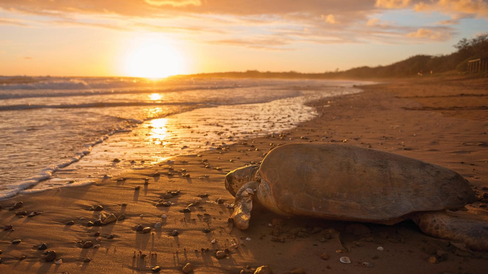 Guide to Bundaberg, Queensland - Tourism Australia