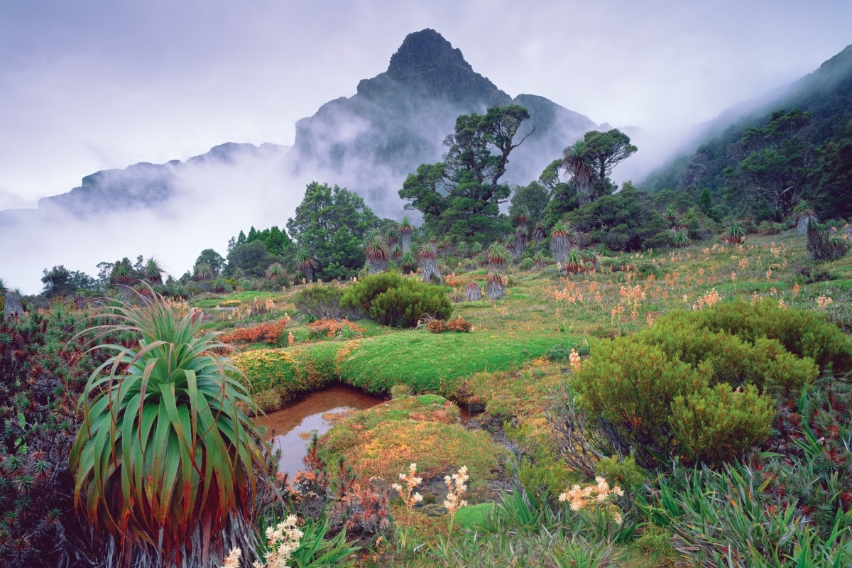 Flore australienne - Tourism Australia