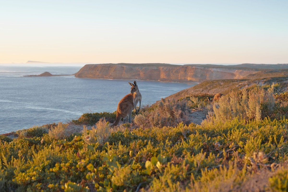 Taman Nasional di Australia - Tourism Australia