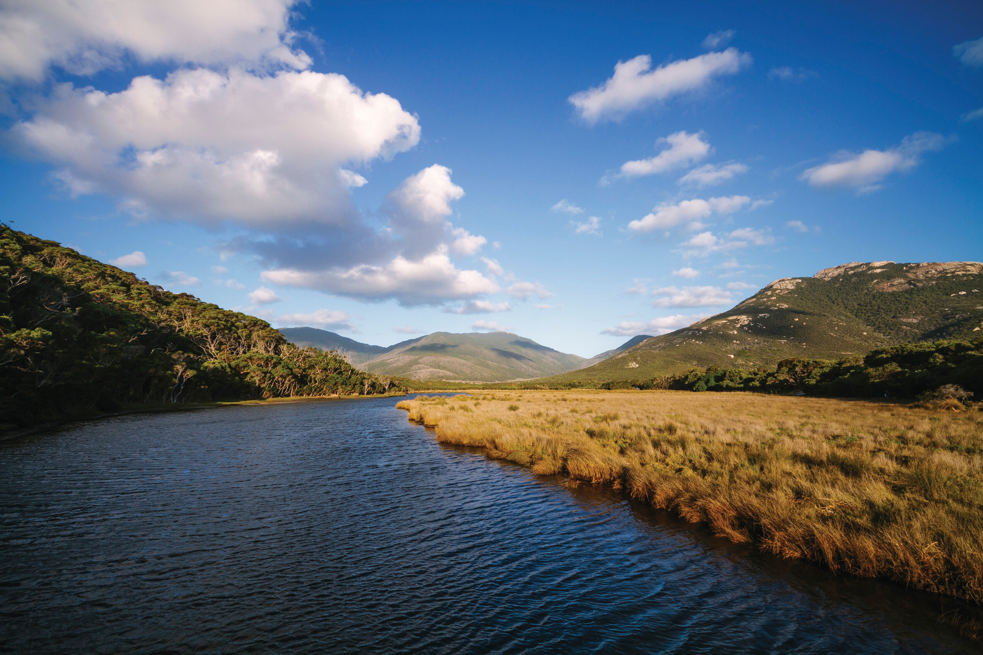 The best walks and hikes at Wilsons Promontory - Tourism Australia