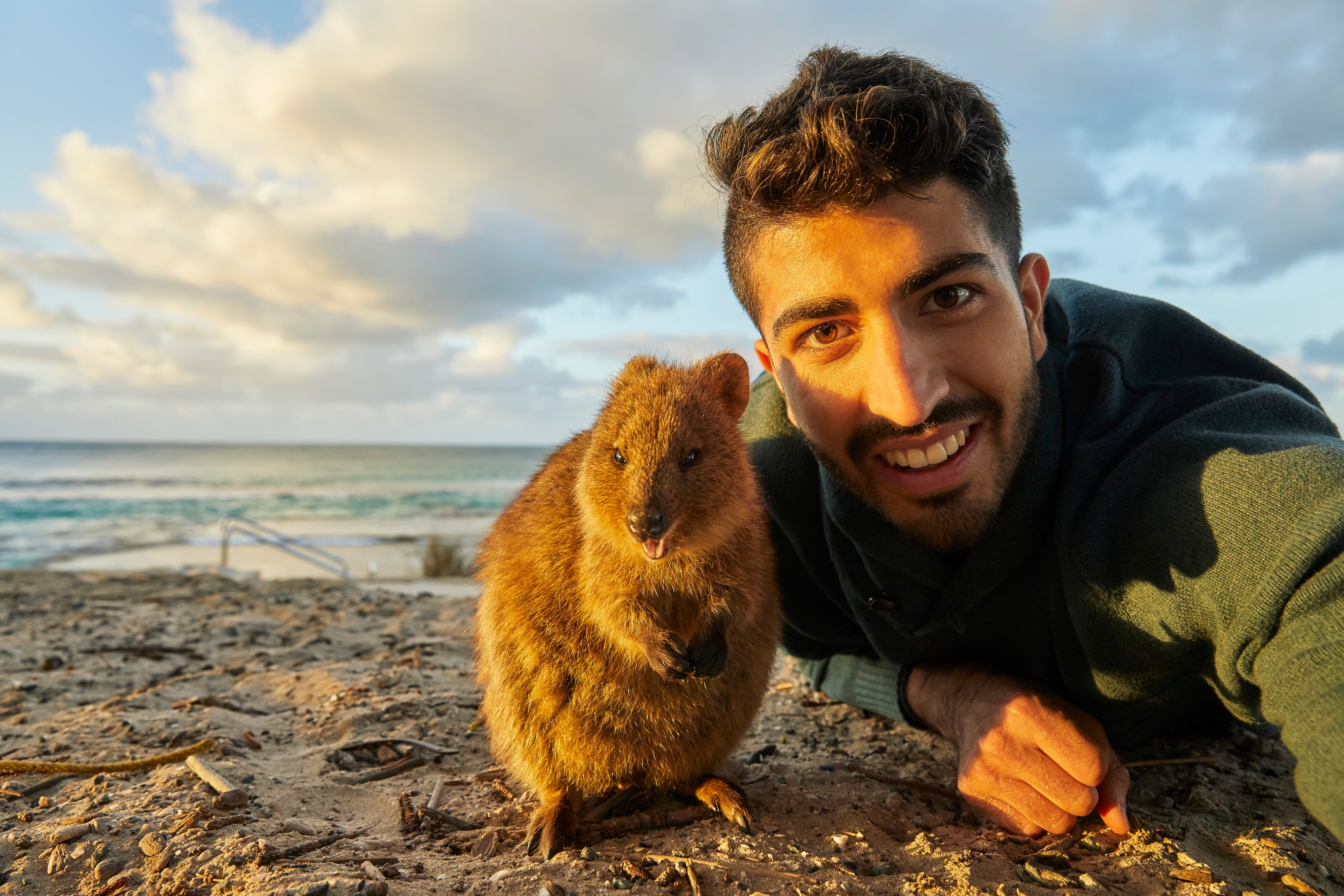 Australia's Instagram-famous animals - Tourism Australia