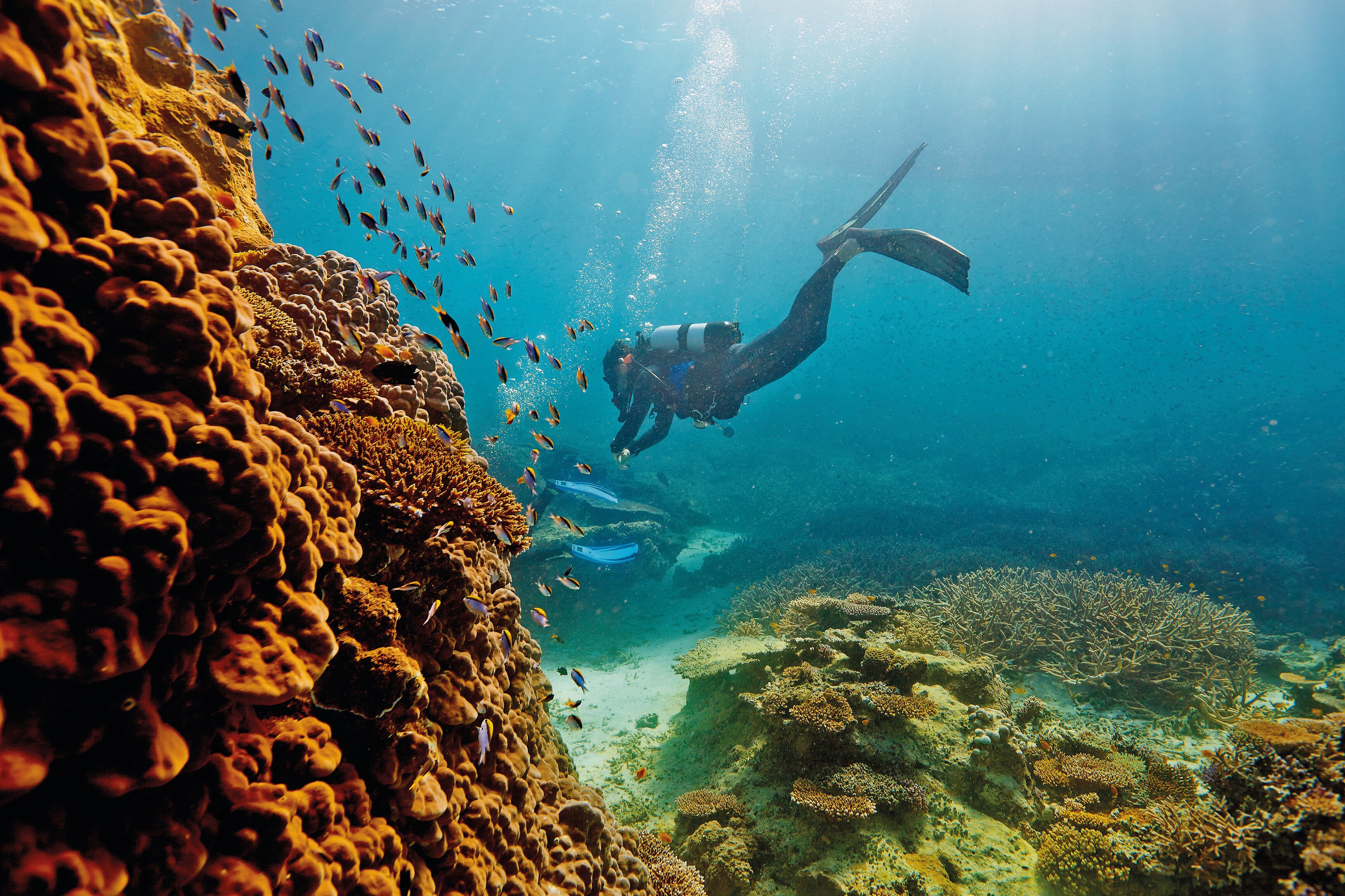 Travel Guide To The Great Barrier Reef Tourism Australia