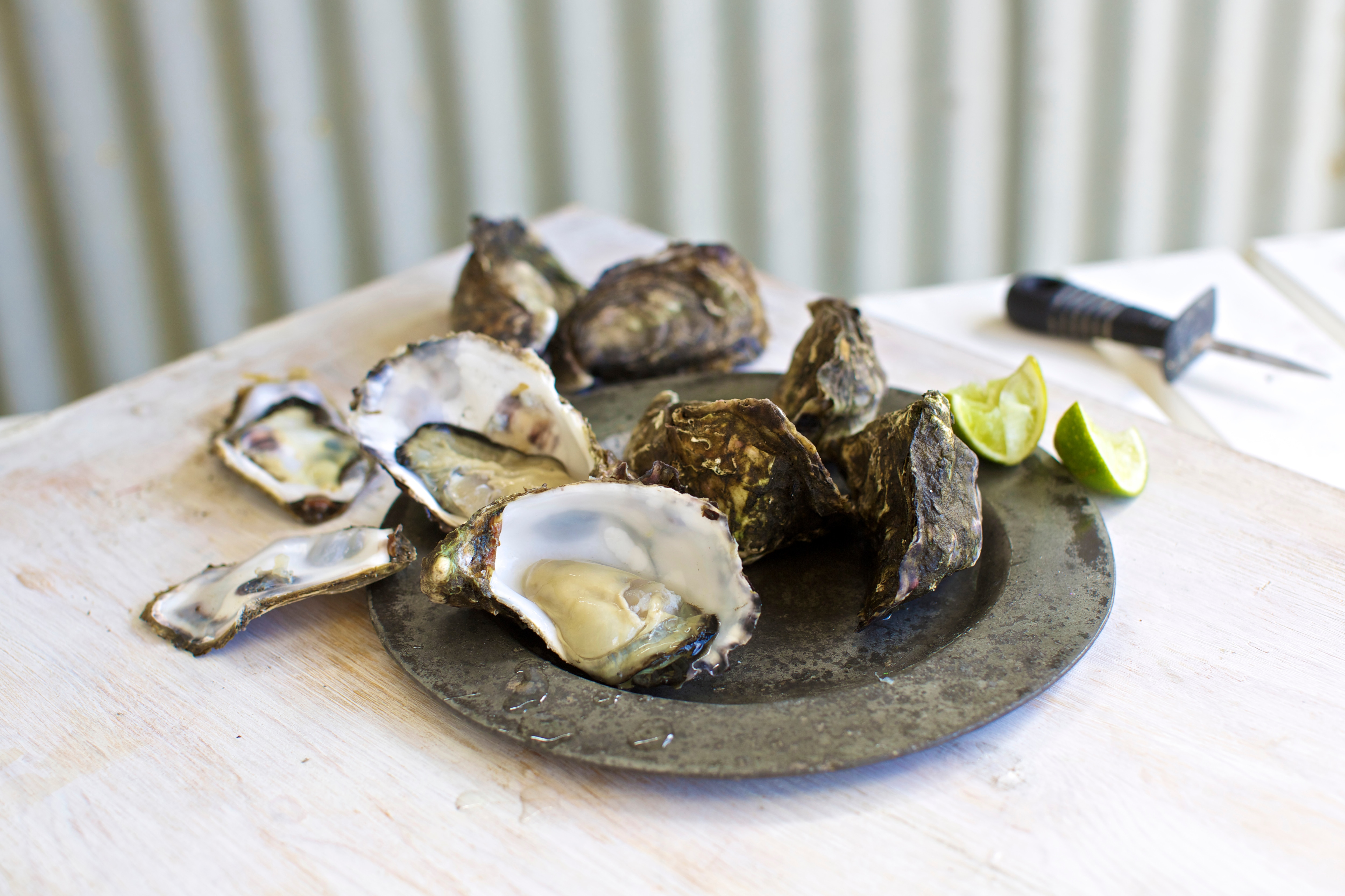 Tasmania's best food and wine trails - Tourism Australia