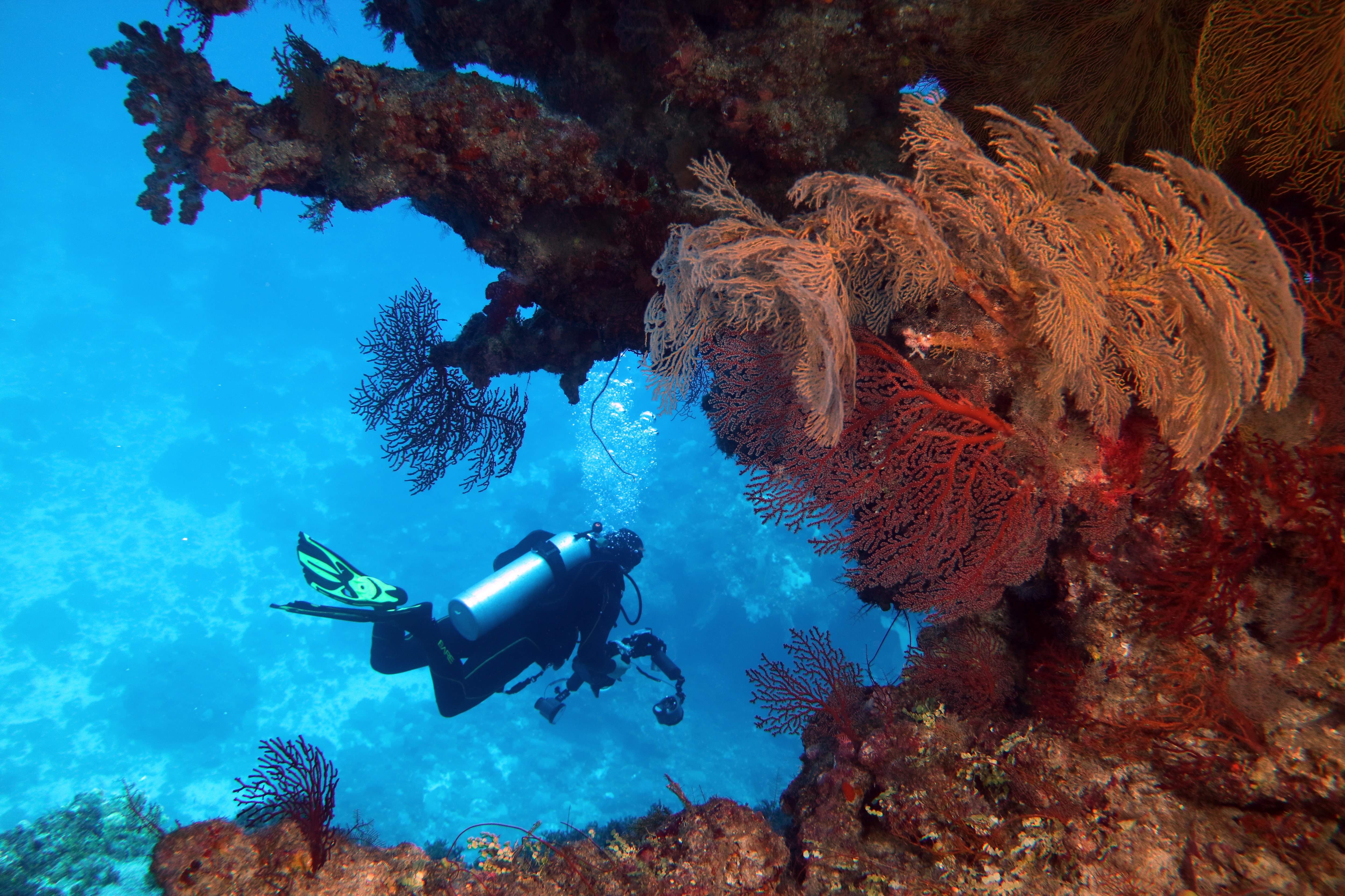 How to choose the right Great Barrier Reef tour to suit you - Tourism ...