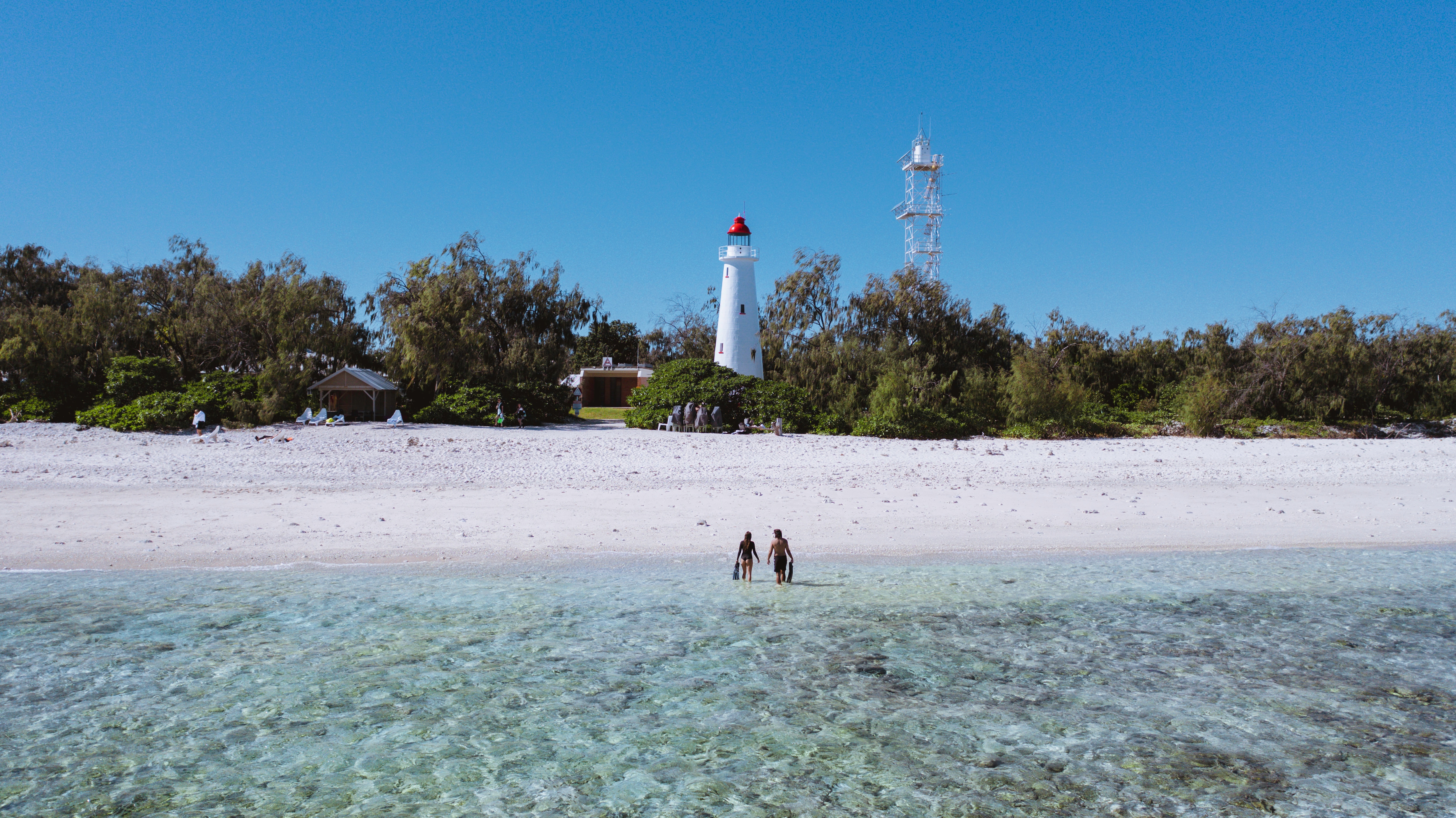 Travel guide to Lady Elliot Island, QLD - Tourism Australia
