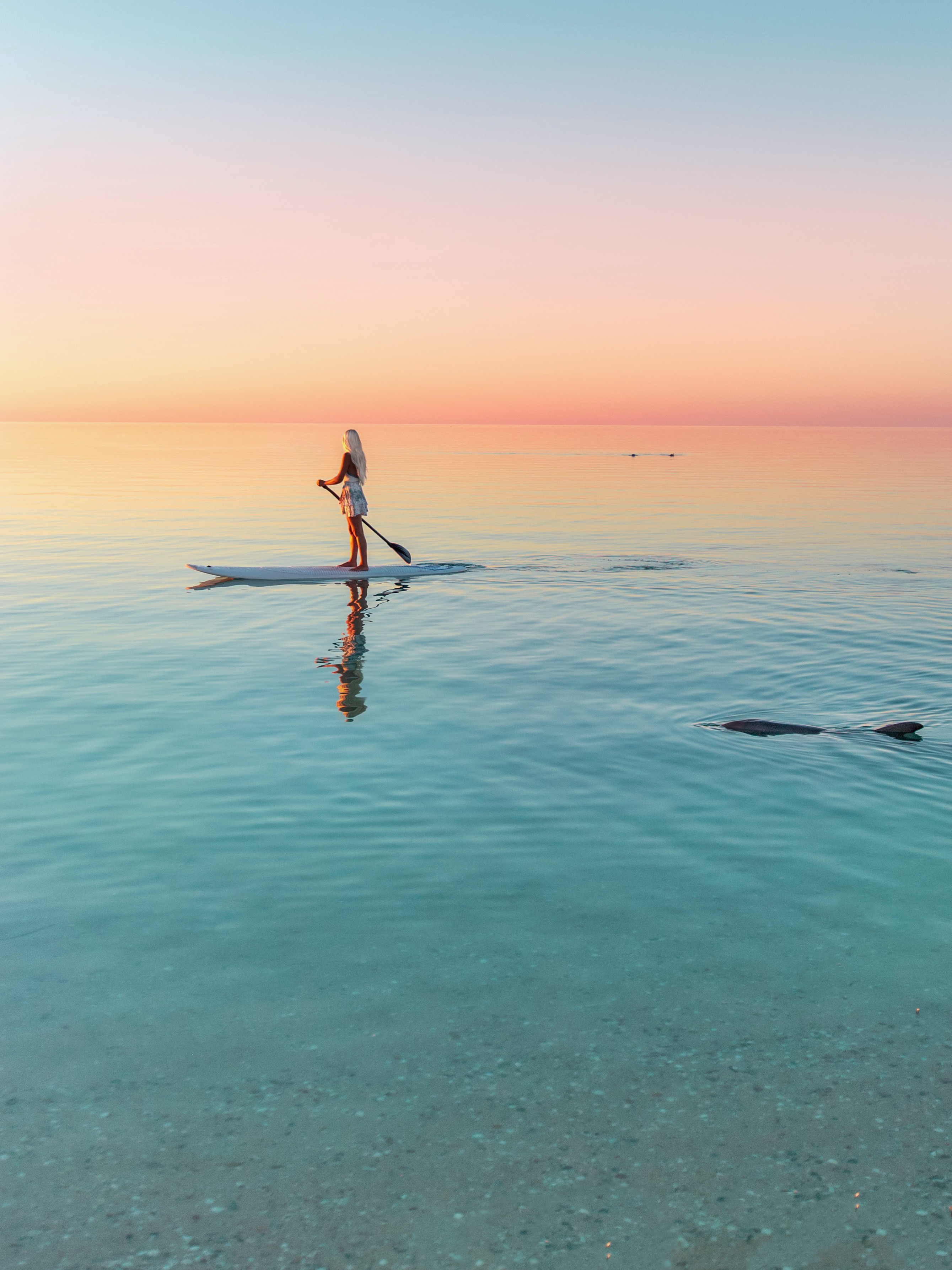 Travel guide to Monkey Mia, WA - Tourism Australia